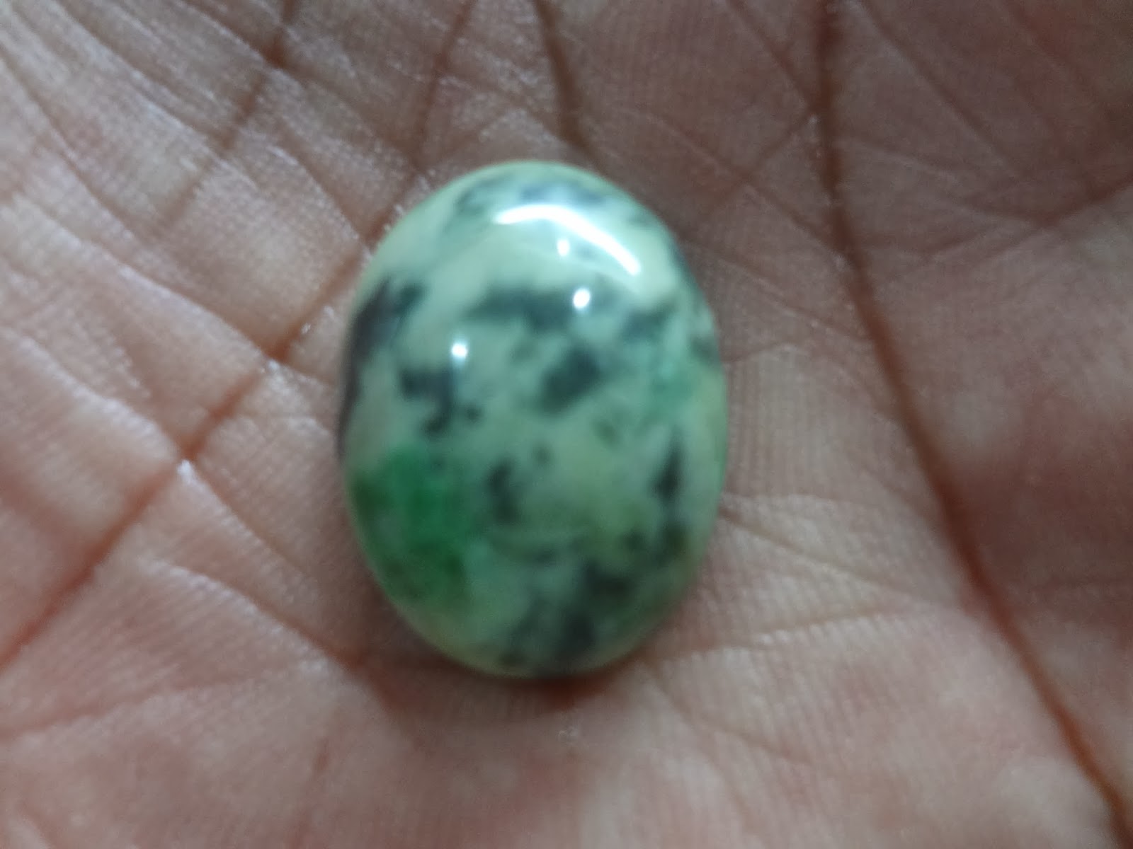 Lumut Aceh Code: APLA196 - Batu Akik Padang