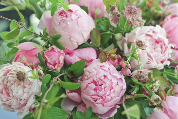 VW Garden: June Peonies in a Vase