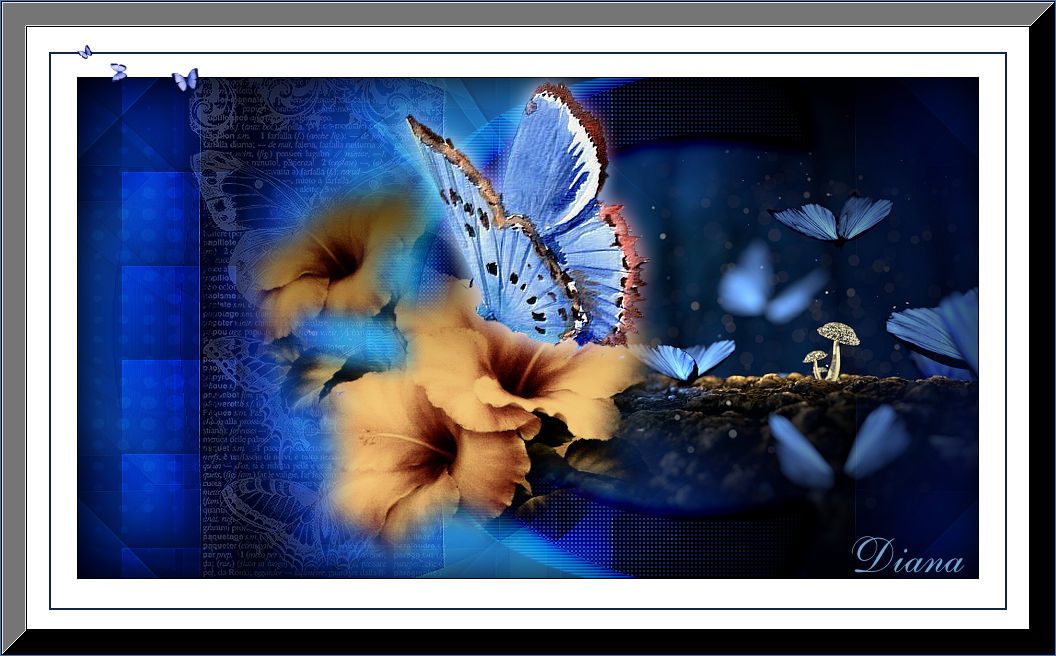 Le blog de Libellule: Morpho bleu