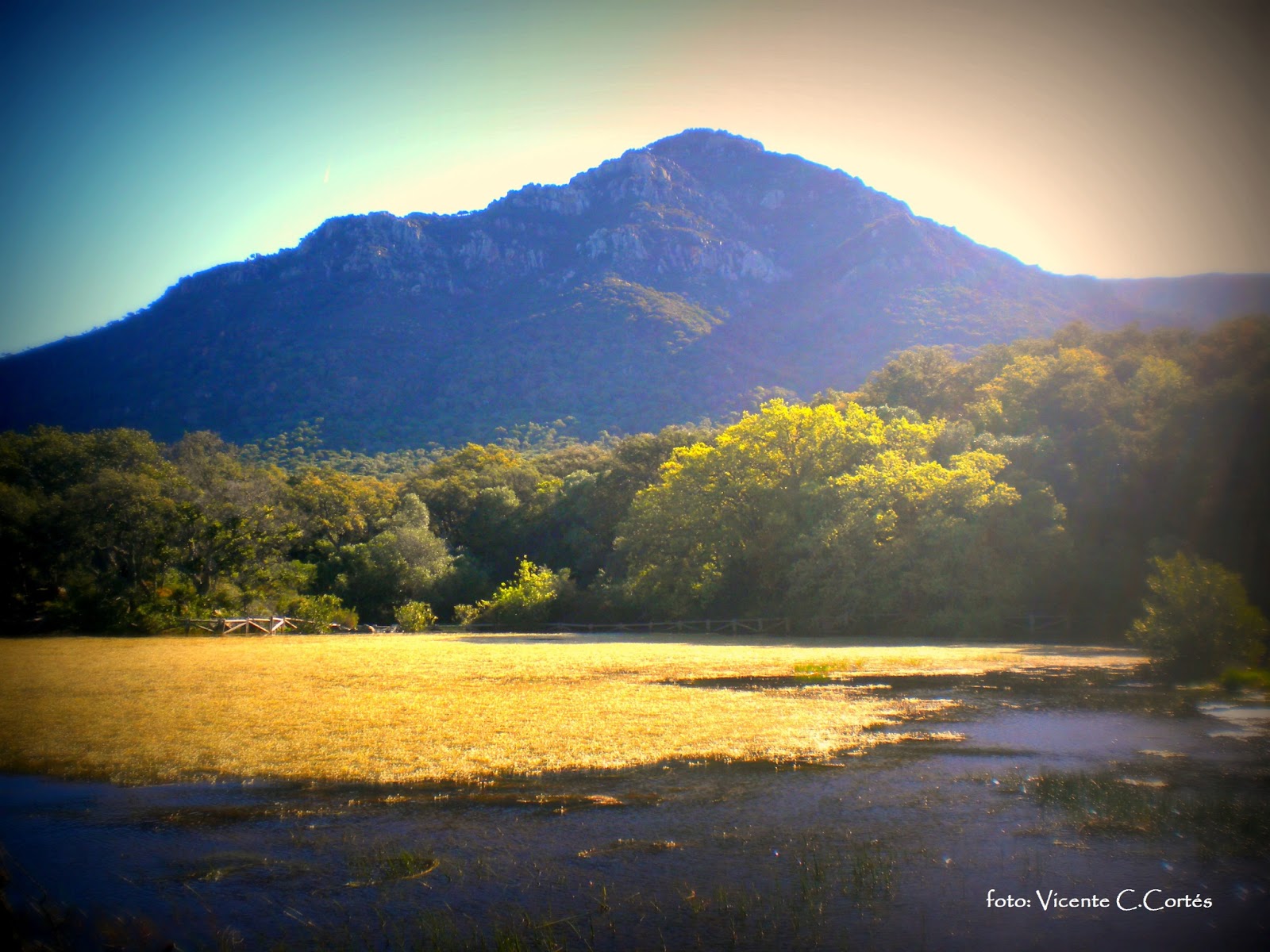 d Ruteo: RUTA PICACHO - ALJIBE - LAGUNA DEL PICACHO.