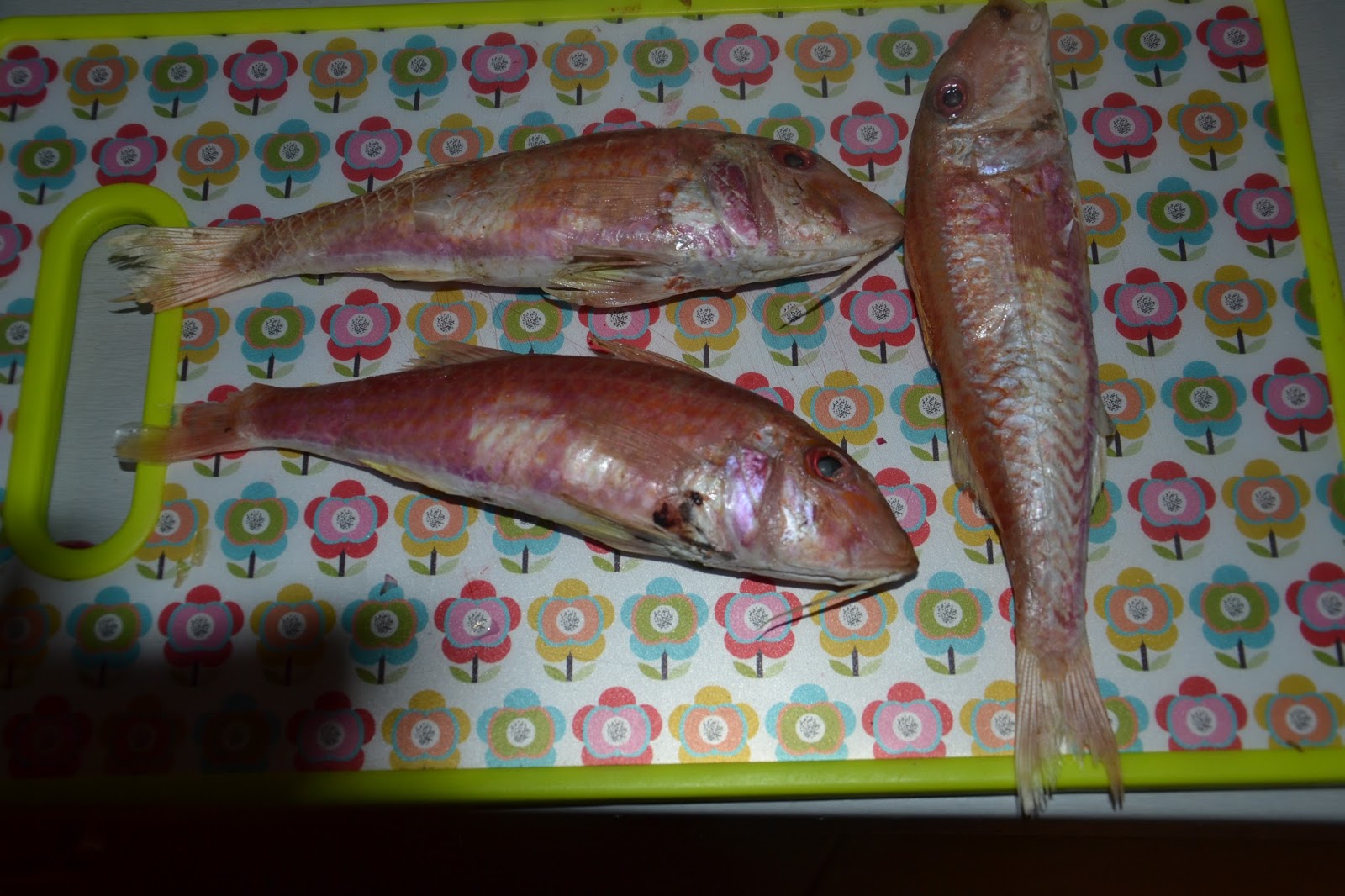 Oppdag Fisk!: Vest-Afrikansk Mulle/West African Goatfish/Pseudupeneus ...
