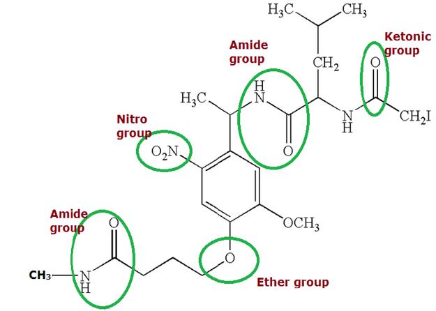 Knowledge Class: Relationship between Structure and Function of Molecules