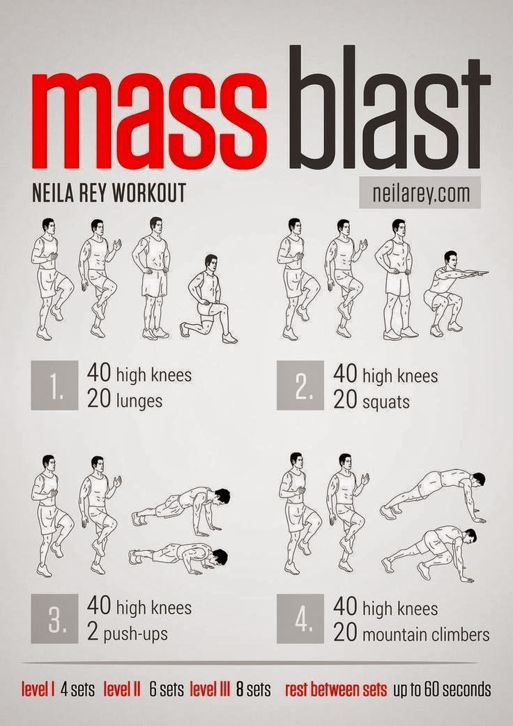 Home Gym: All Exercises by Neila Rey