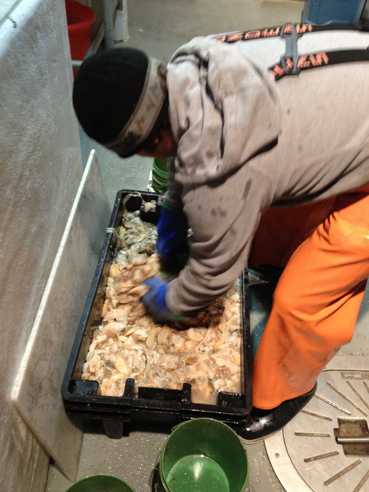 215fishspot: Spring Cod Fishing - Cox Ledge Report, March 18-19, 2012