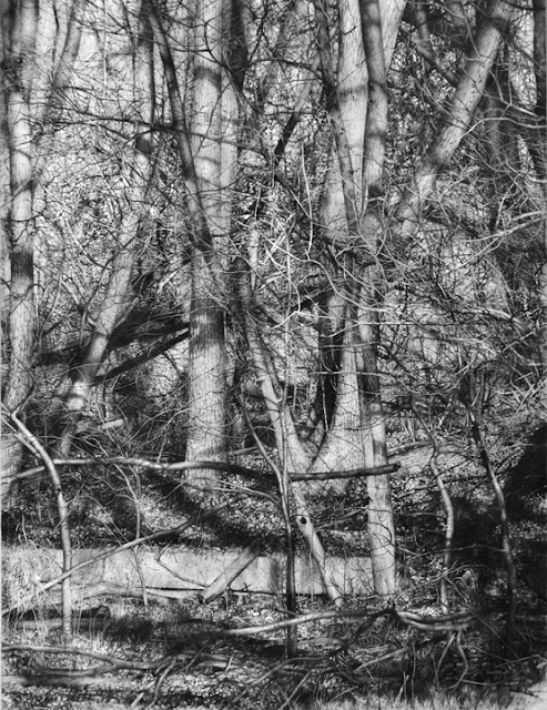 Pencil Drawing Methods | Photo Realistic Pencil Drawing | Graphite ...