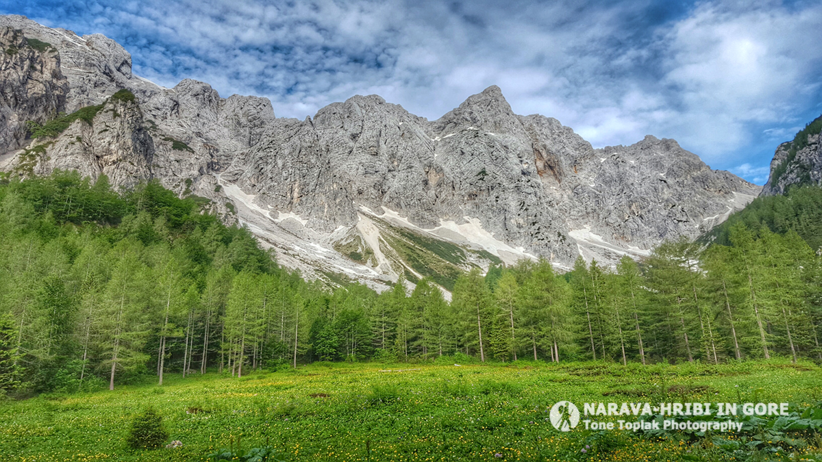 Narava hribi in gore: Mrzla gora 2203m-junij 2016