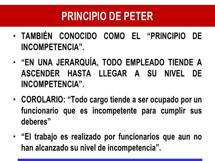 Pasos para emprender y crear tu empleo