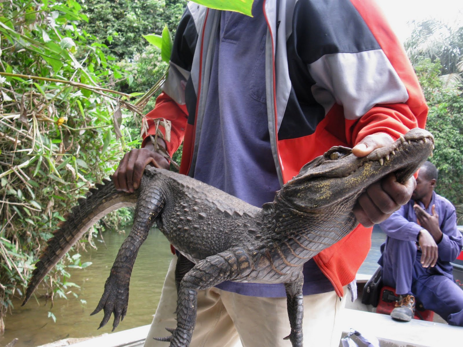 In Search of 'Mamiwata'