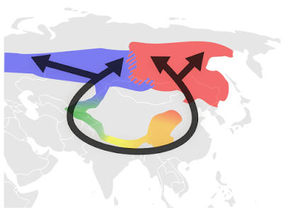 Rosa Rubicondior: Ring Species - Evolution in Progress
