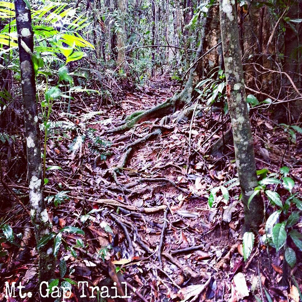 Gunung Gap & Gunung Ulu Semangkuk