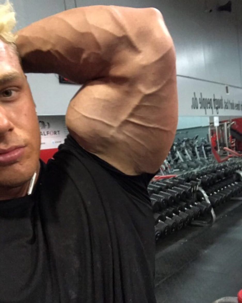 the beauty of male muscle: Jeremy