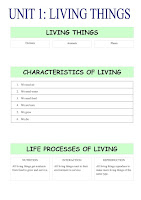 Tercero HCA : Natural Science: UNIT 1 LIVING THINGS