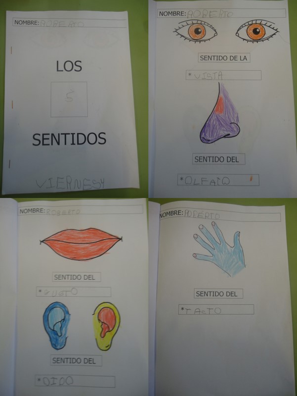los peques del cole: EL LIBRO DE LOS SENTIDOS