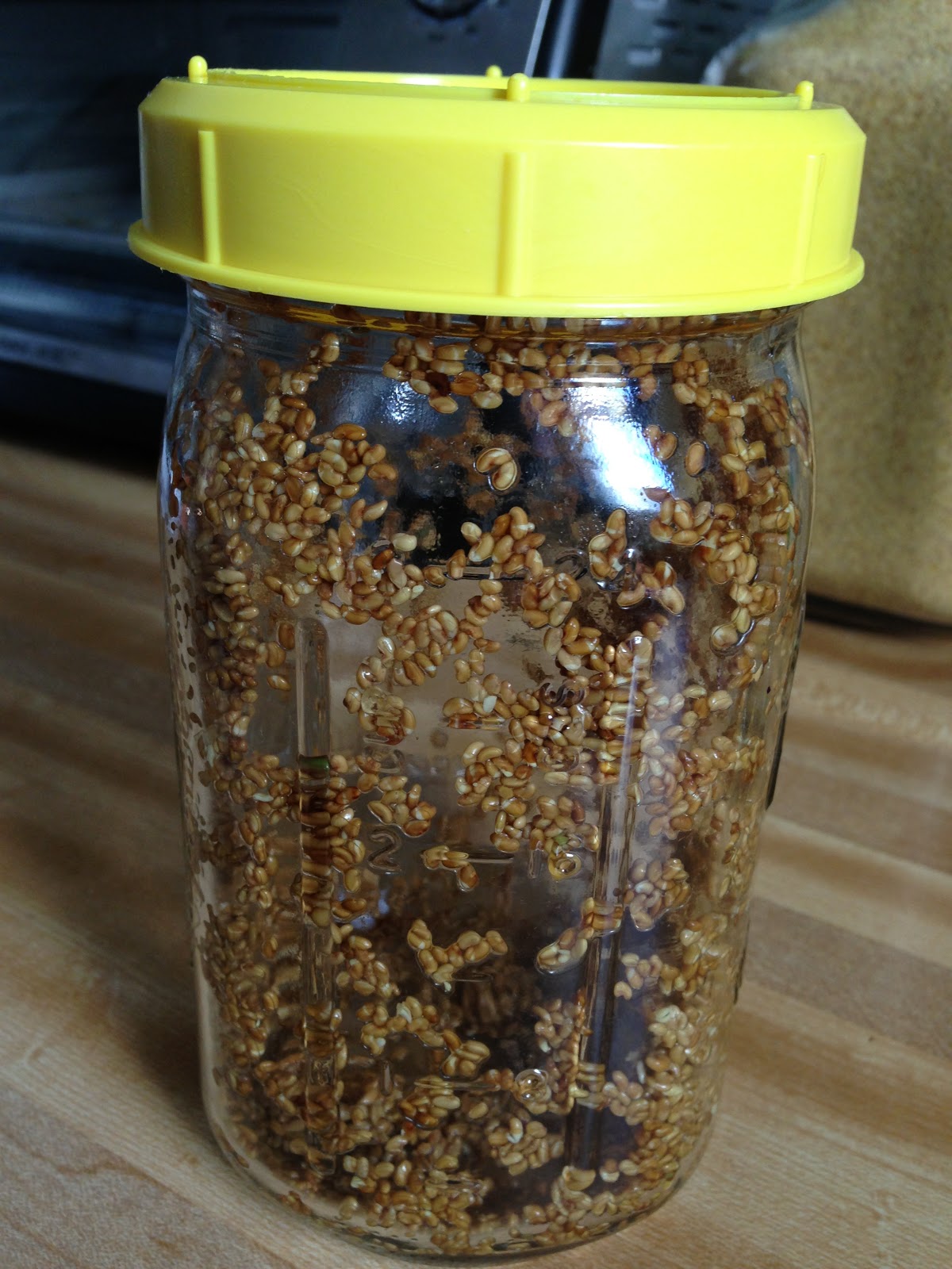 Mighty Distractible: Sprout It!