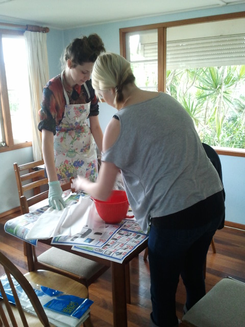 Howard Smith Wharves Development