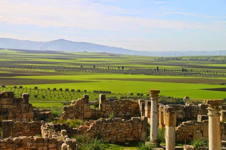 Volubilis ( Walili ) ~ ..::: Find Places