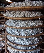 OrderYourChoice.com : Manufacturing process of Silk Sarees
