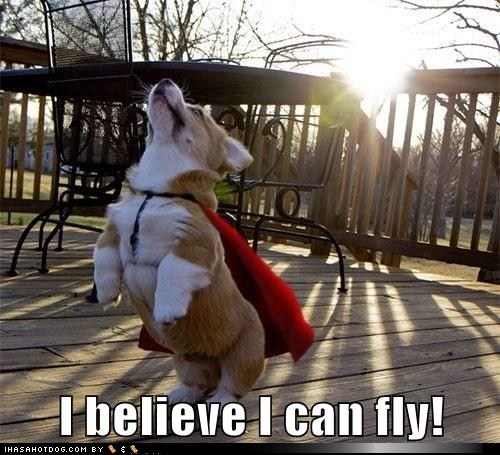 Thinking Pink: Top Five LOL Dogs of the Day