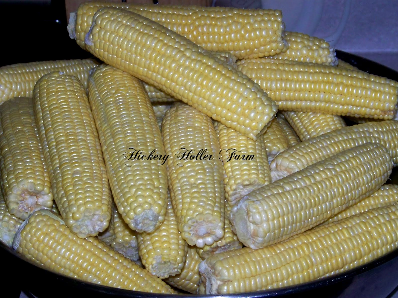 Hickery Holler Farm: 4. How To Select A Seed Company