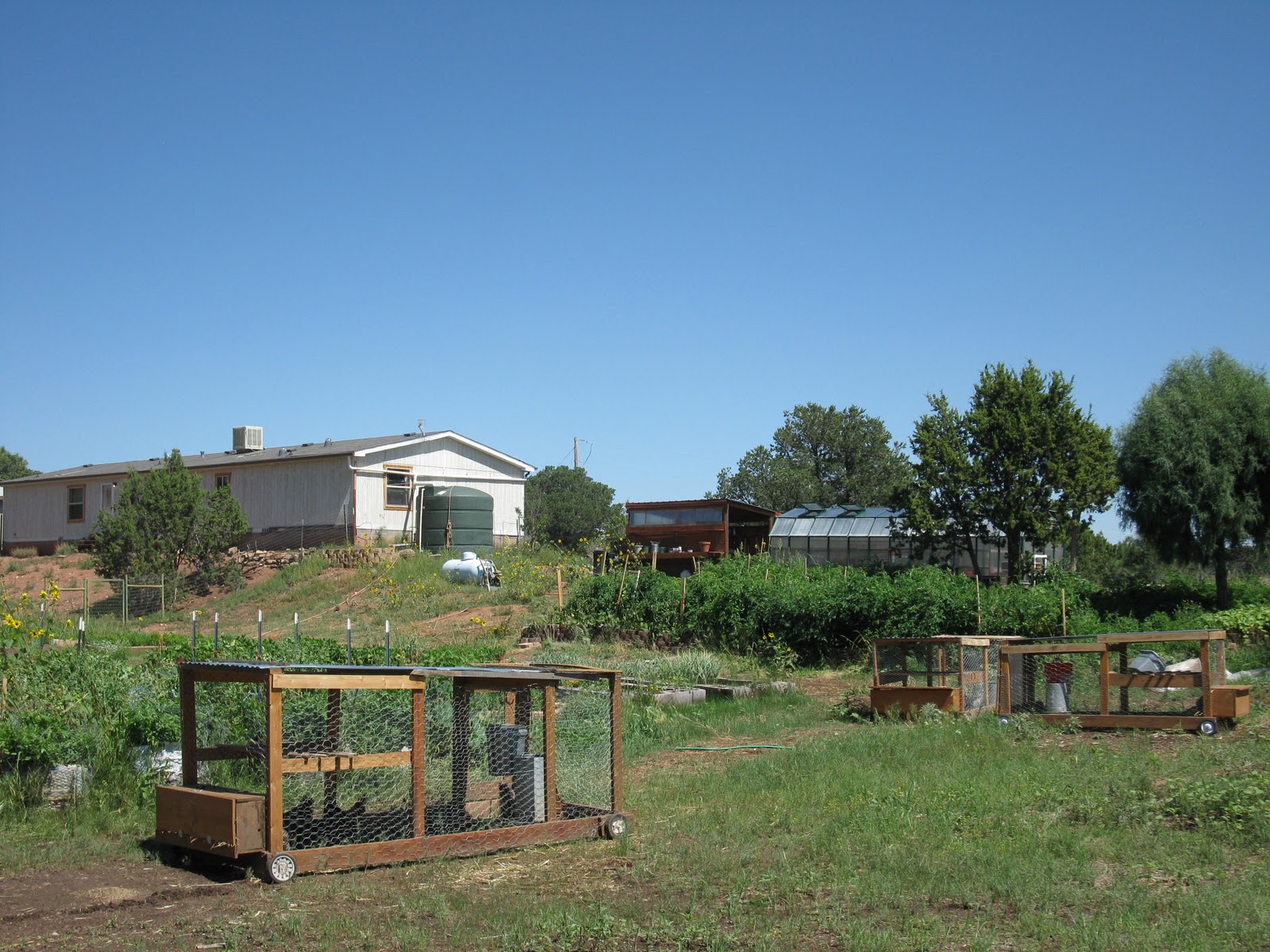 Peter and the WWOOF: Big Sky Country / Bodhi Farms