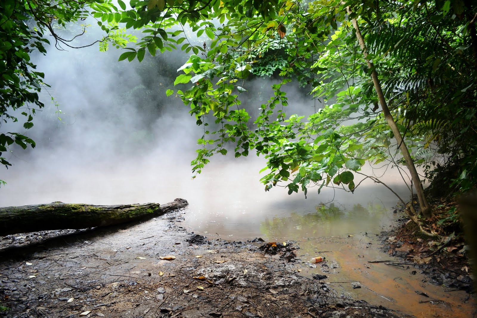 Spent&Wasted: Hike to Mount Makiling (Mudspring Trail)