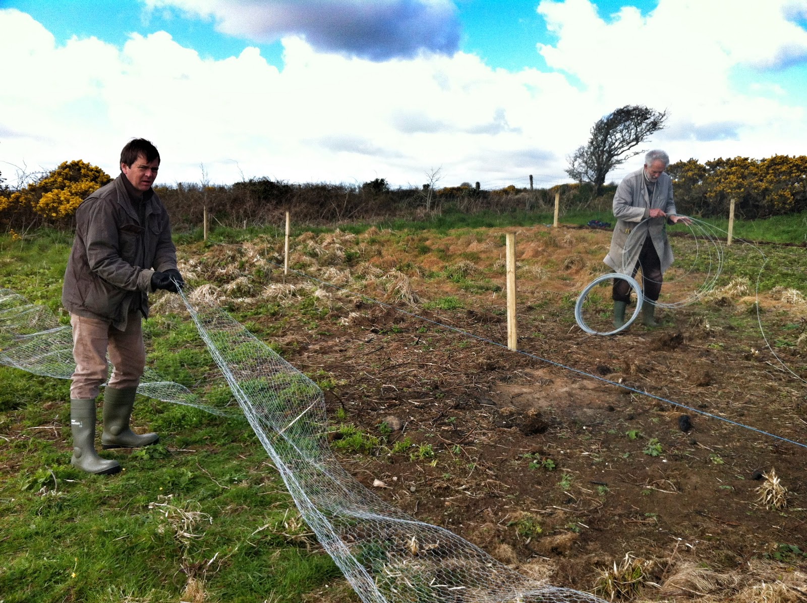Carnlankie Allotment Association: Badger Proof Fence