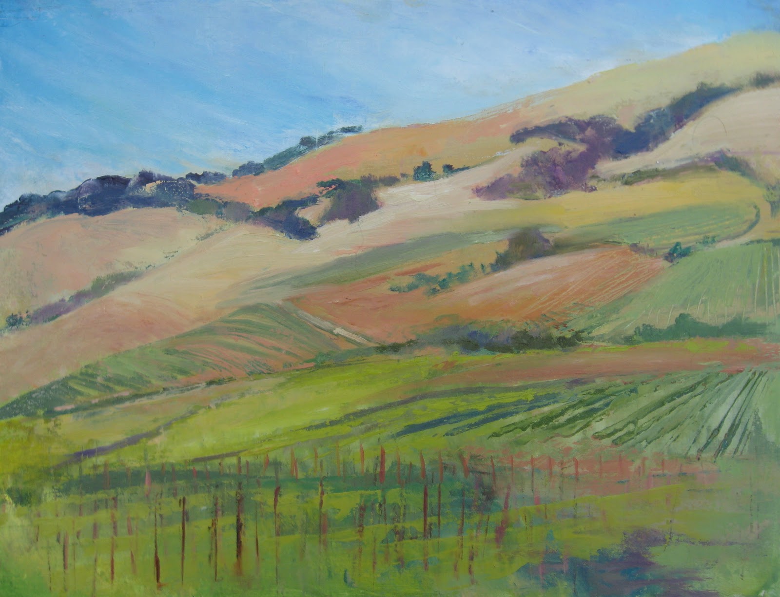 GILLIAN BULL, Artist: SONOMA VINEYARD
