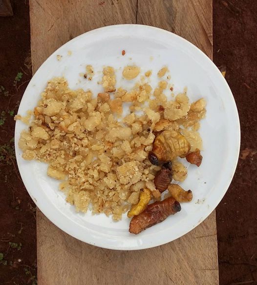 Crónicas de la Tierra sin Mal : Tambú tradicional alimento Mbya Guarani