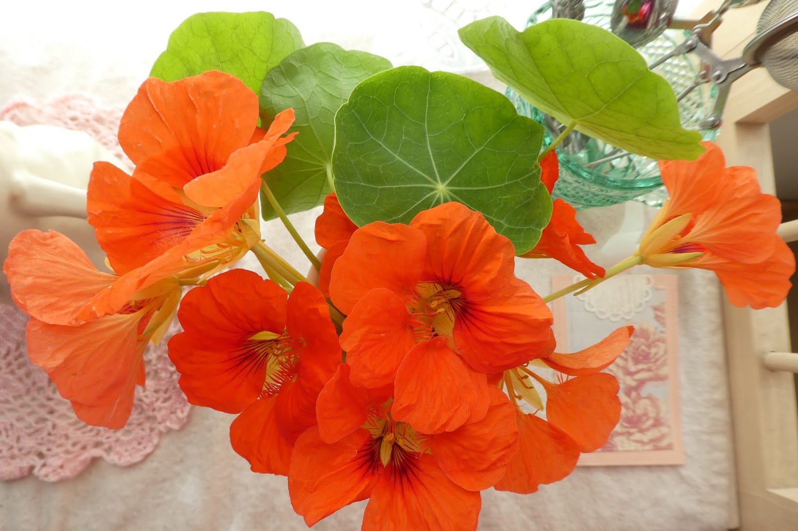 Why I Love To Garden: Nasturtiums