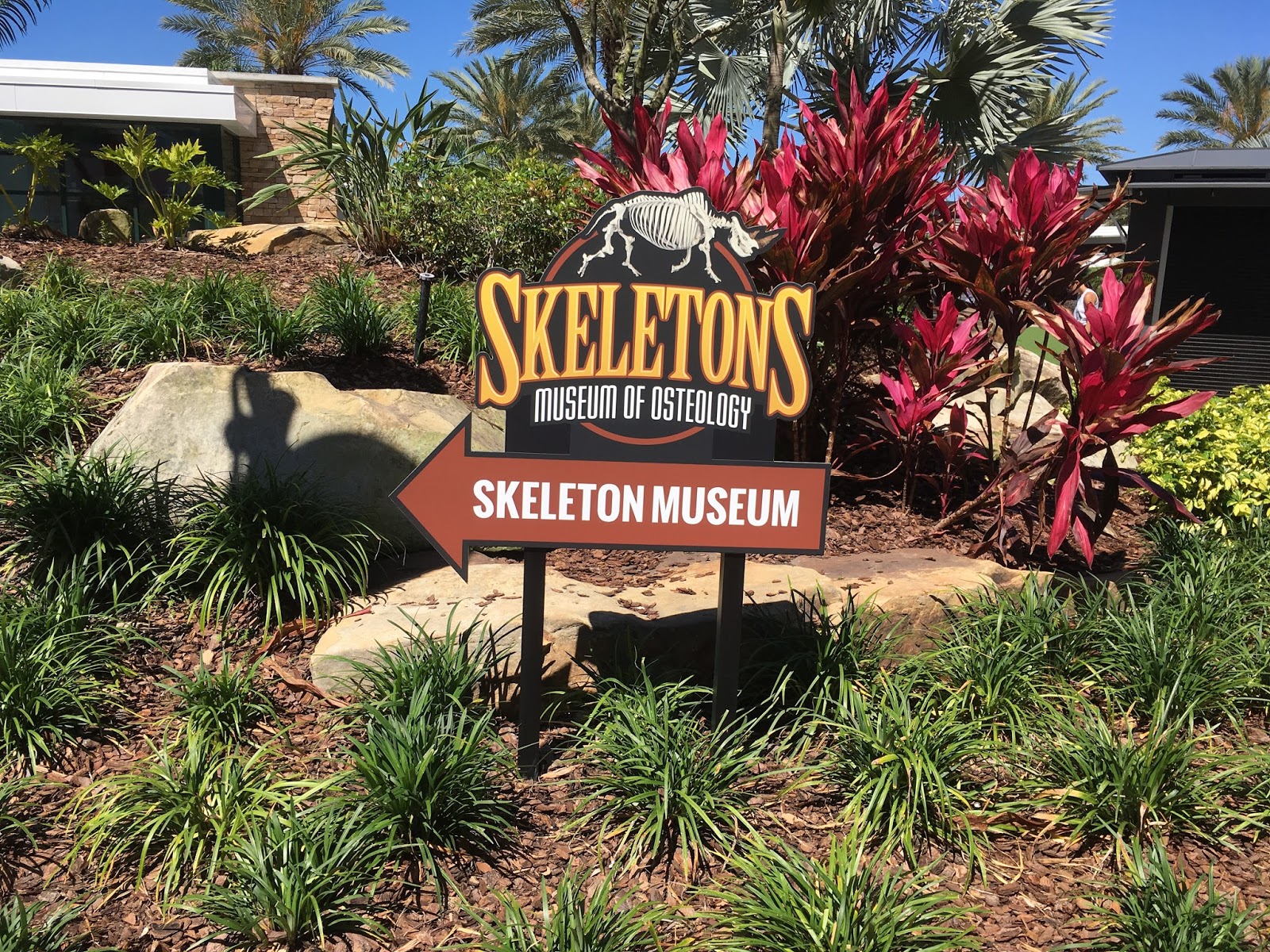 Meet Me in the Gift Shop: Skeleton Museum (Museum of Osteology)