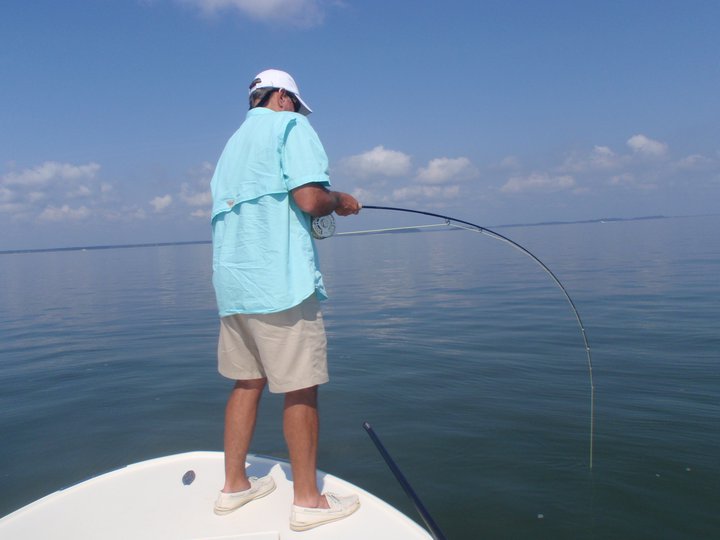 Beaufort, SC Fly Fishing: The time has come: Cobia Season