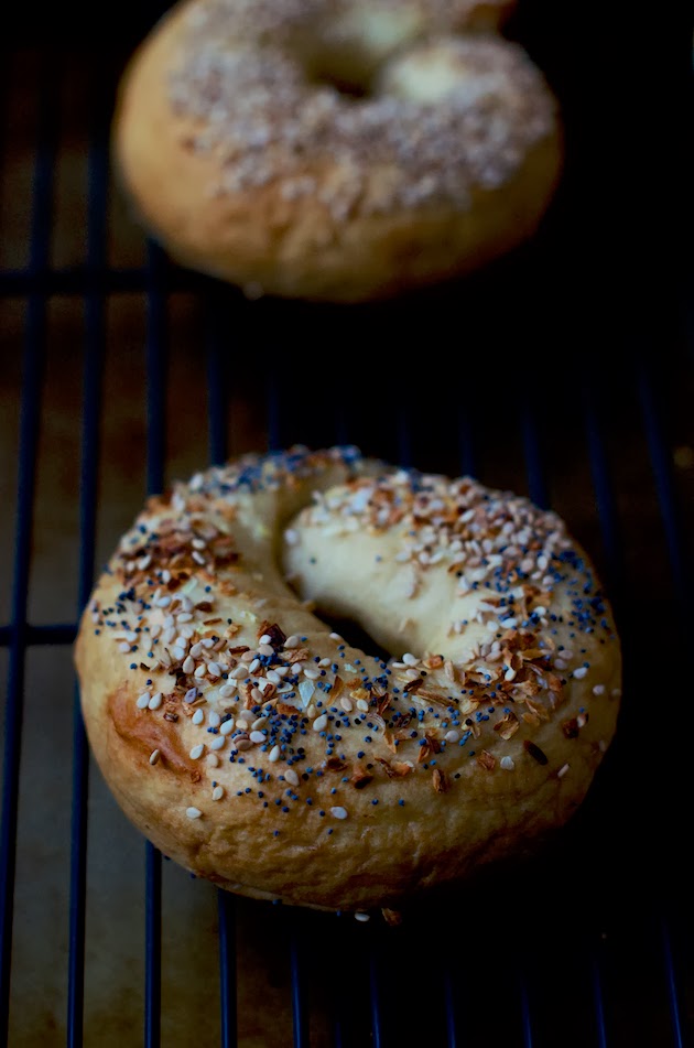 Foodwanderings: Bagels - The Beginning: A Perfect Crust, Chiffon Crumb