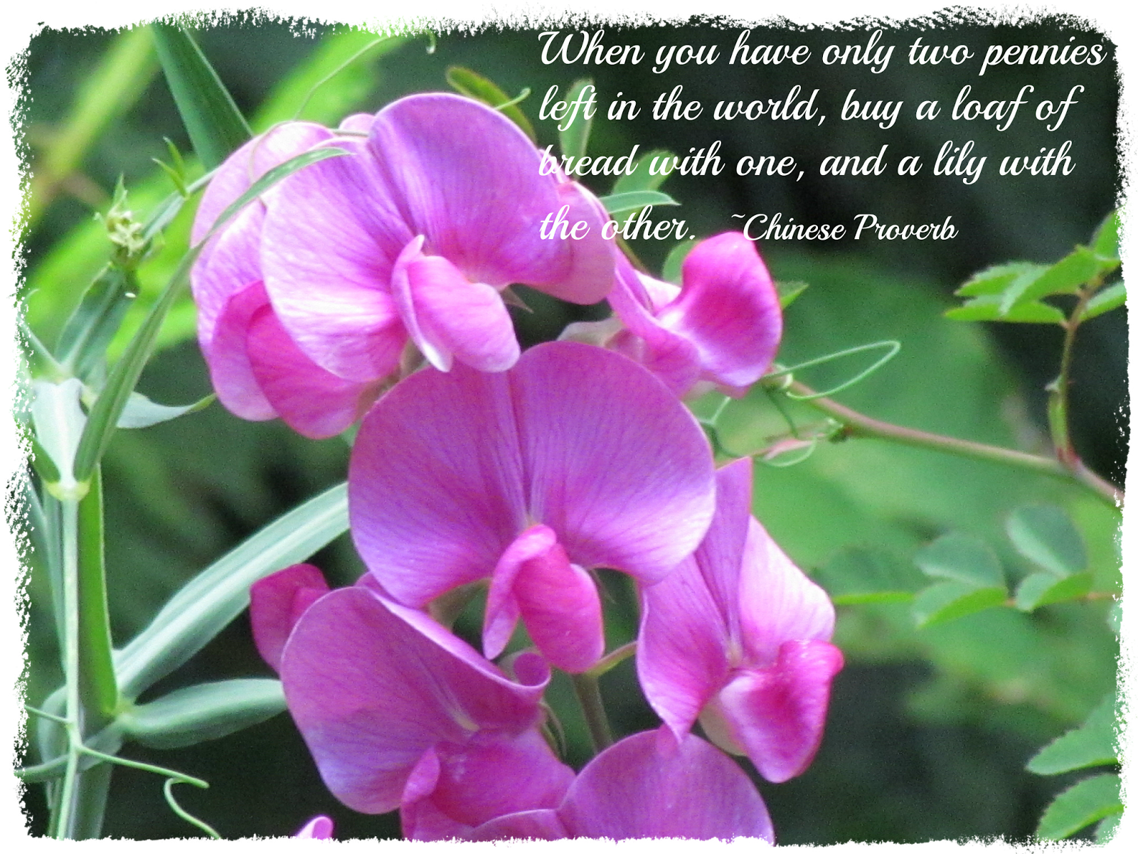 Scene Through My Eyes: July Note Card Party