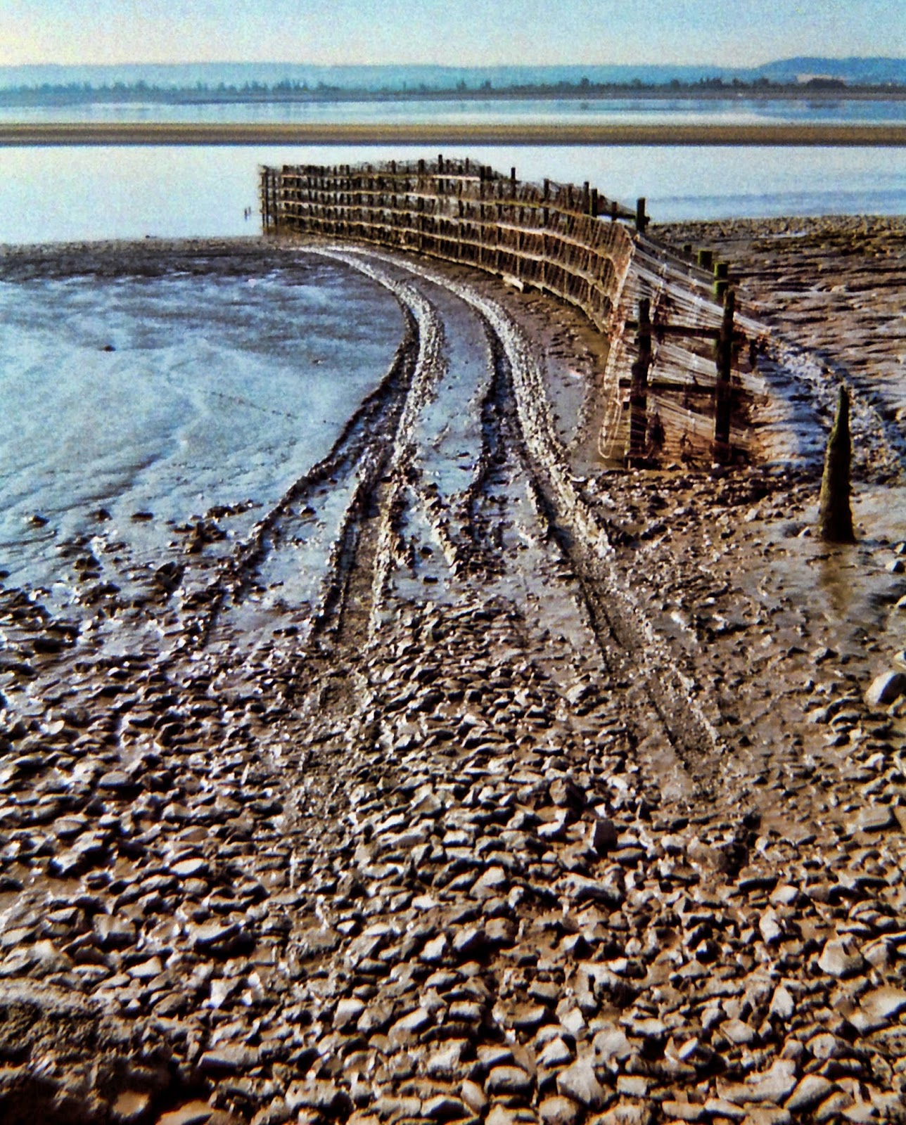 COTSWOLDS CASCADE: FISHING IN AWRE