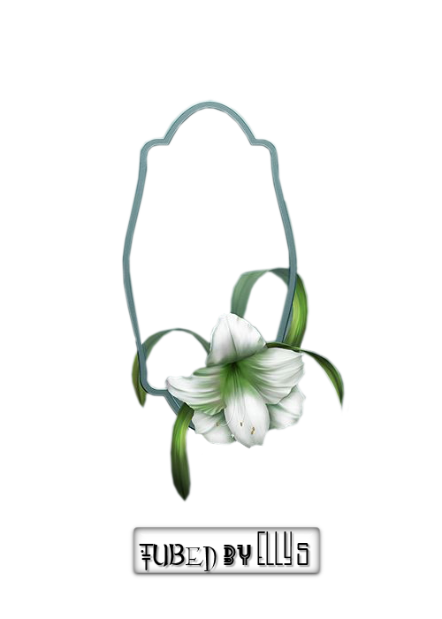 Alles voor en over PSP : FRAMES 1