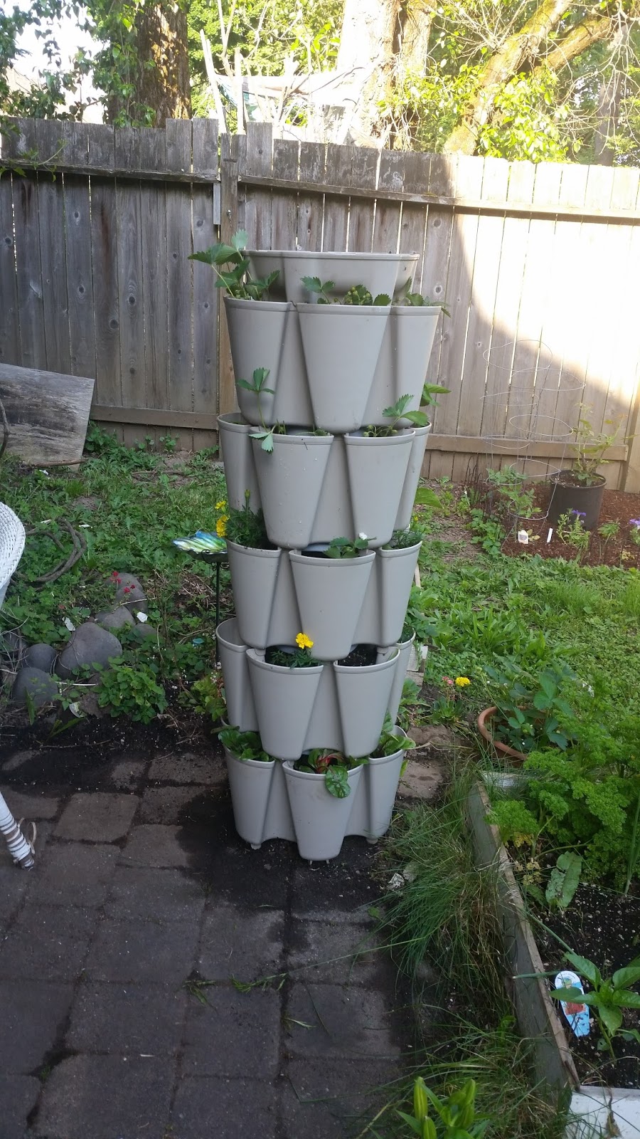 Sprouts: Review of the Green Stalk Gardening System