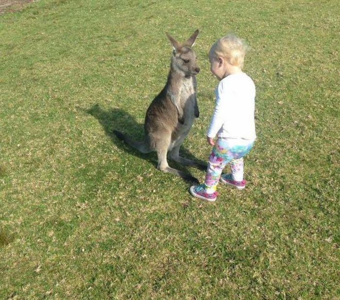 Funny Free Pics: Awesome Pictures With Interesting Situations