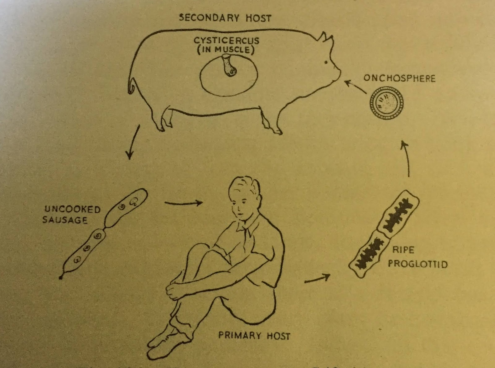 Western Fictioneers: WORMS IN THE OLD WEST
