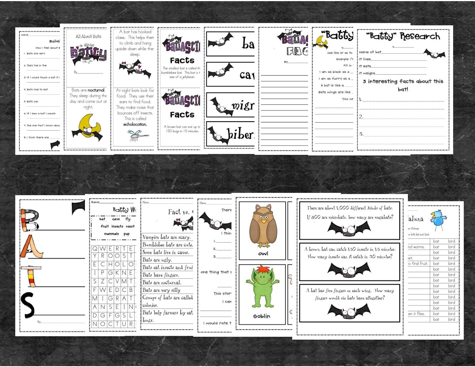 Going Batty in 1st Grade! - Megan Mitchell