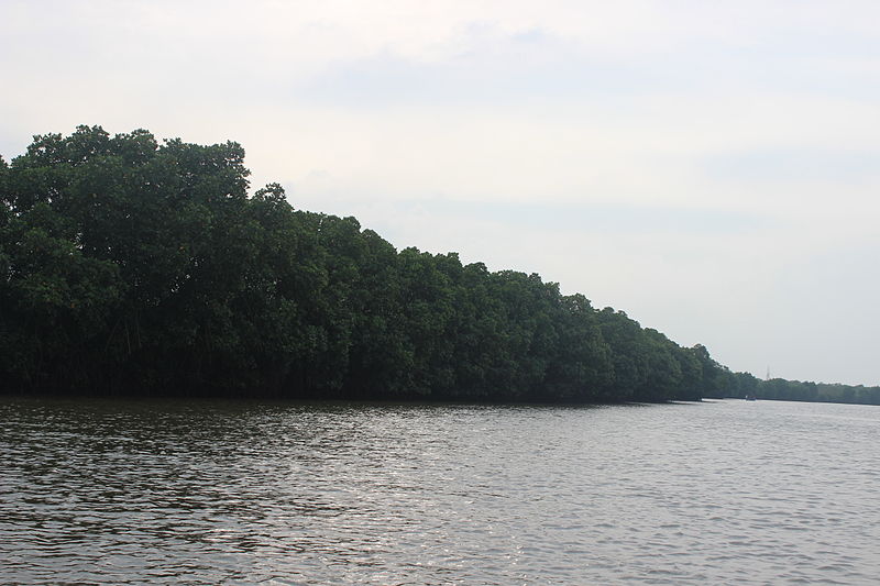 Tamilnadu Tourism: PICHAVARAM