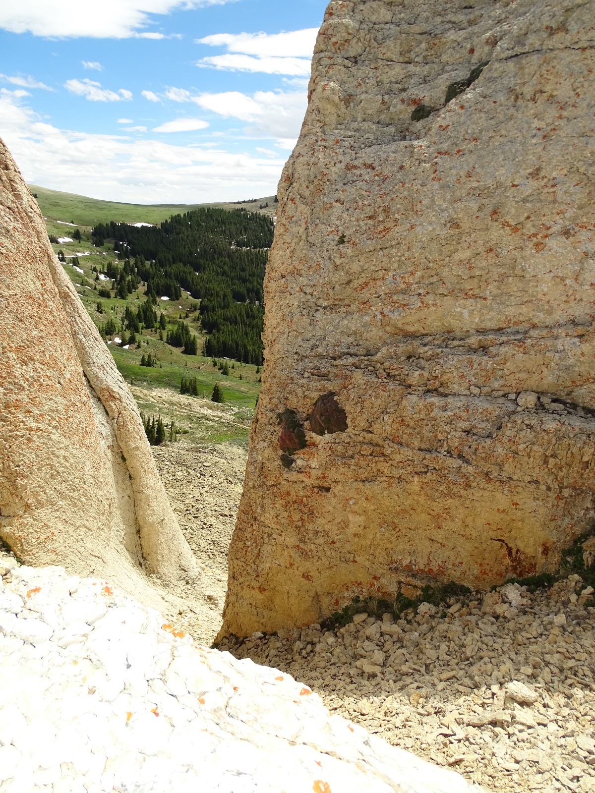Prairiebreak: An album with a floral few gems from Northwestern Wyoming ...