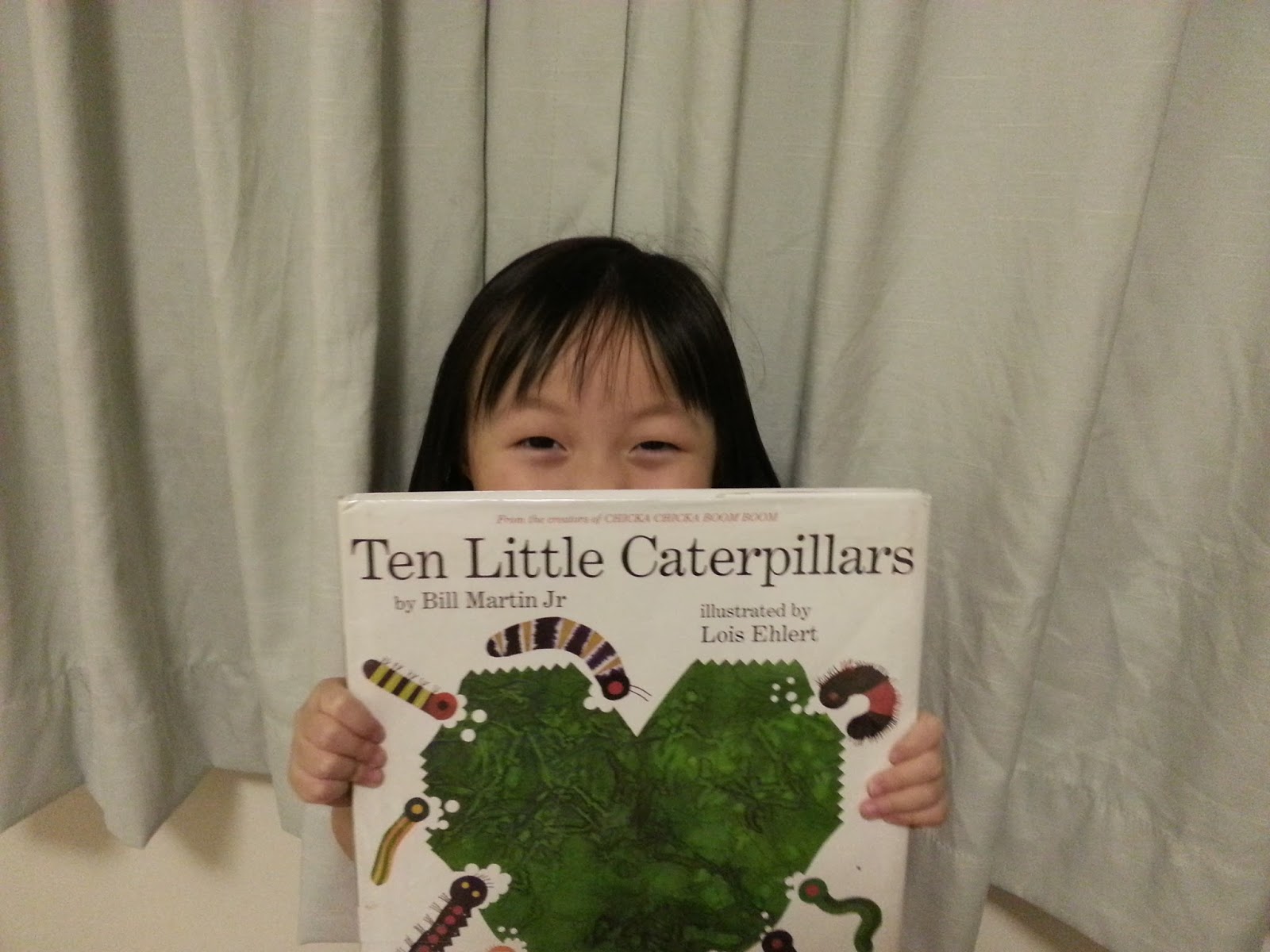 Every Day is a Chance to Learn: Learning about the Life Cycle of a ...