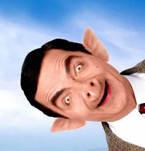 All Funny: Funny And Crazy Mister Bean Images