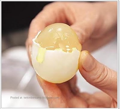 NORZI FOODILICIOUS HOUSE: Cara kenalpasti, perbezaan Telur Ayam Palsu~