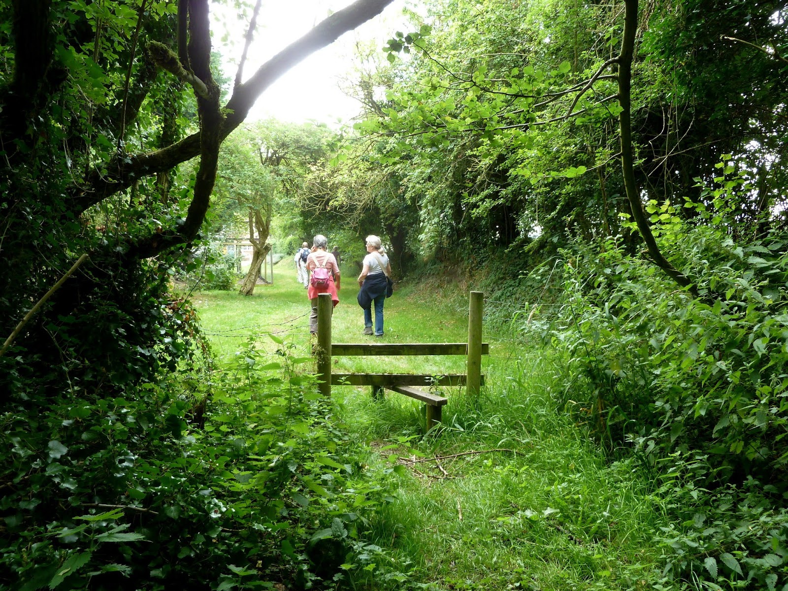 Devizes Days in Words and Pictures 2015: Berwick Basset to Avebury, for ...