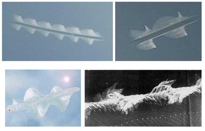 Villatri - Informaciones: CRIPTOZOOLOGIA: LOS SKYFISH O FLYING RODS