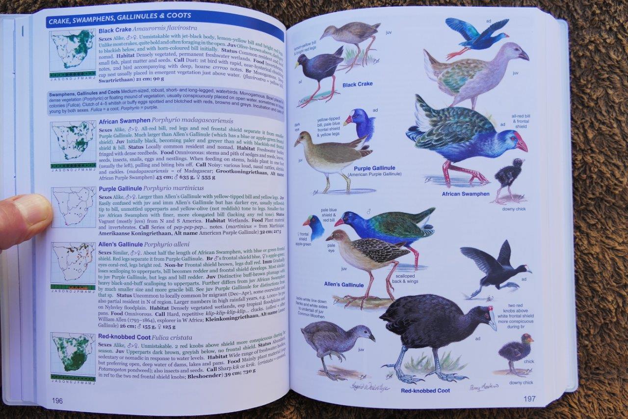 Southern Africa's Ramsar Sites: Roberts Bird Guide (2nd edition)