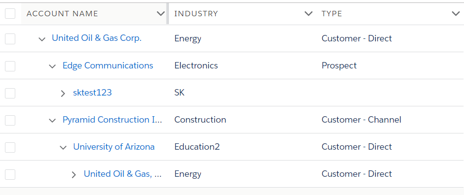 Salesforce Stuff Lightning Treegrid Displaying Account Hierarchy