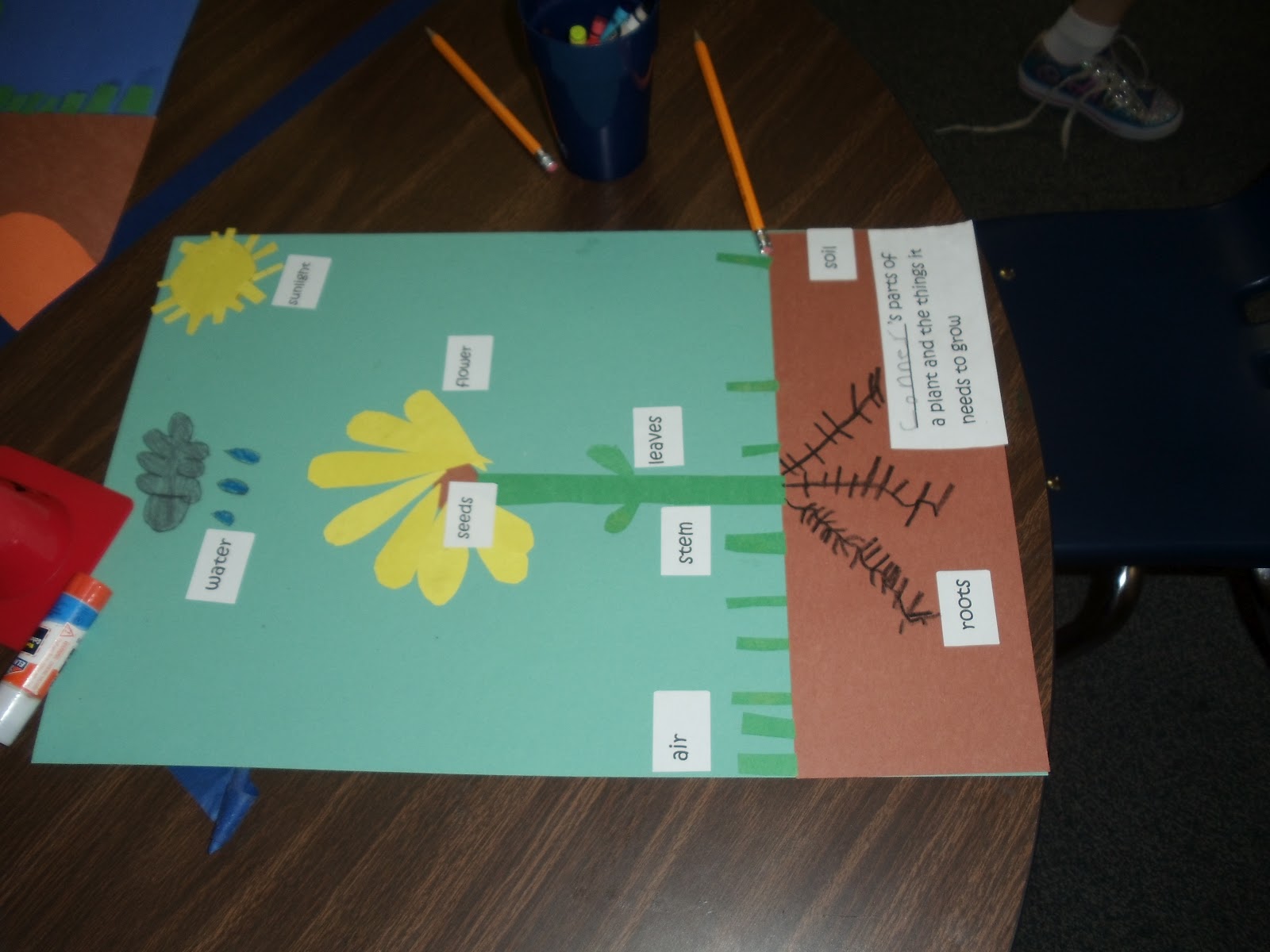 Mrs. Stuart's Munchkin Land!: Flower Garden in the Classroom