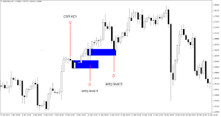 Fibo Musang - Forex & Anime